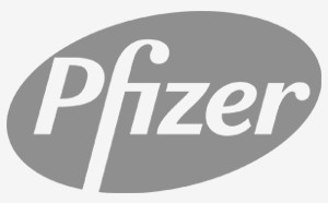 SQT: Your Specialist Provider for Custom Training Programs