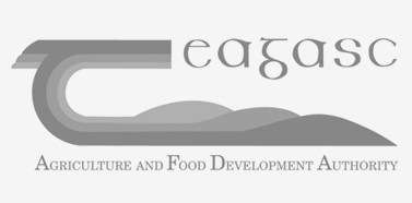 IUMSS HANDBOOK: Guidance on Integrated Management System Standards